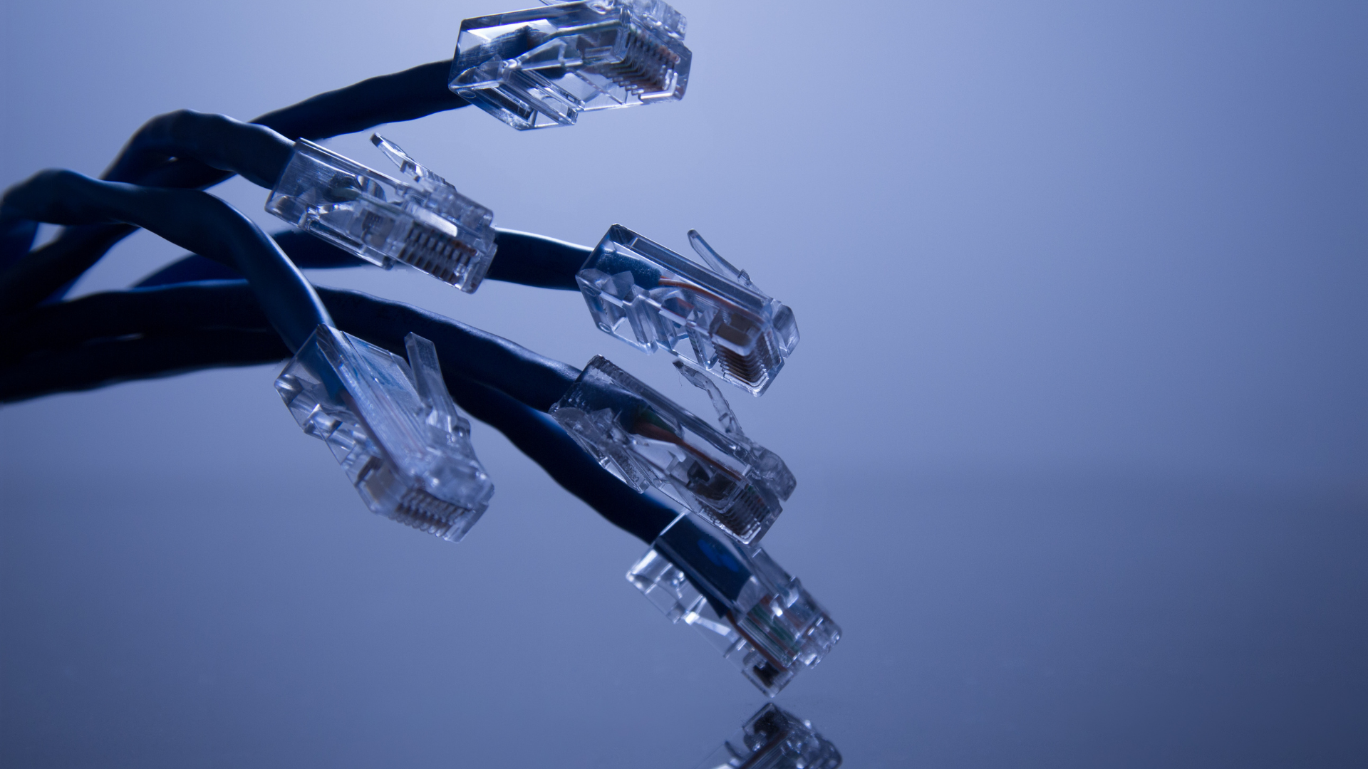 Protecting Business Continuity | Swimage